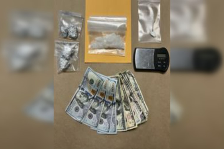 Massive Joshua Tree Drug Raid Results in Arrest of Convicted Felon,