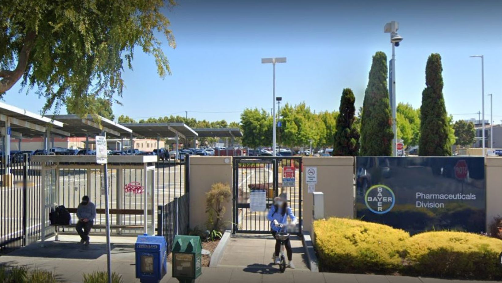 Bayer Boosts Biotech with $250M Investment in Berkeley Cell Therapy