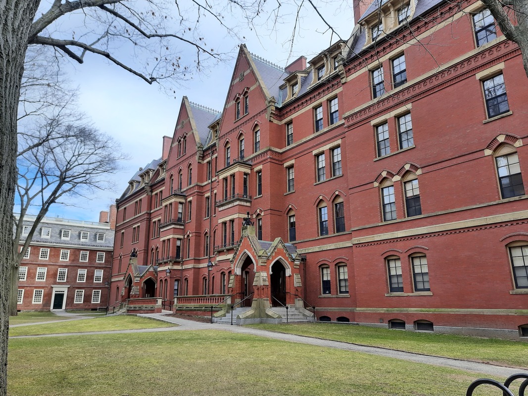 Harvard Groups Ignite Controversy with Statement Blaming Israeli