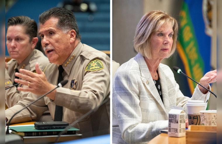 LA's Organized Retail Theft Task Force Takes on Smash-and-Grab Crisis