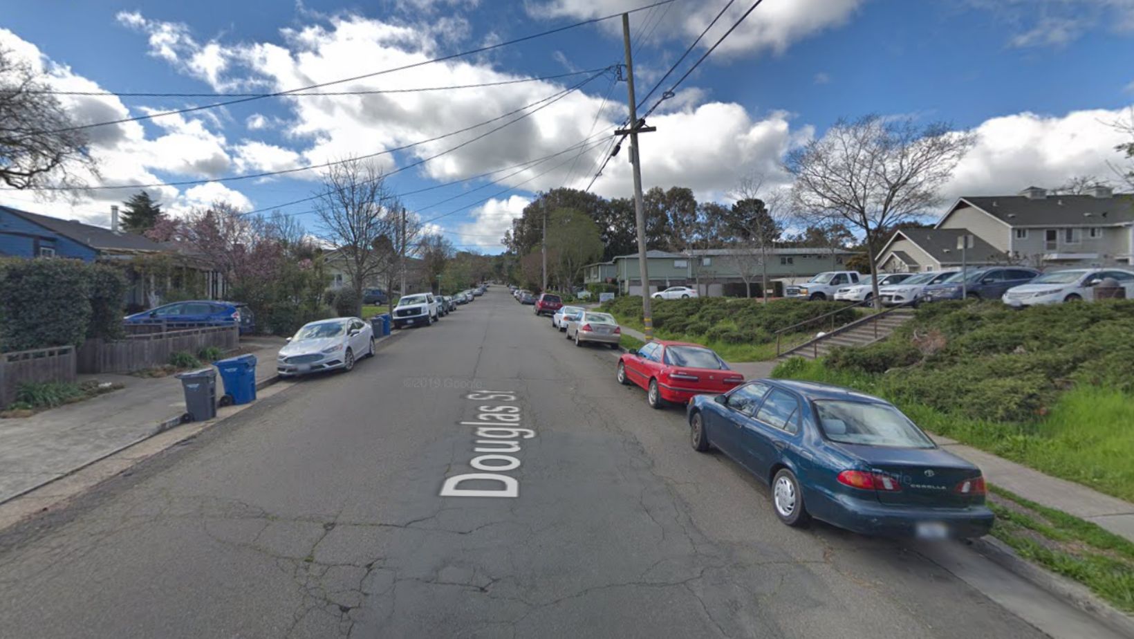 21-year-old Suspect Arrested for Felony Assault in Petaluma