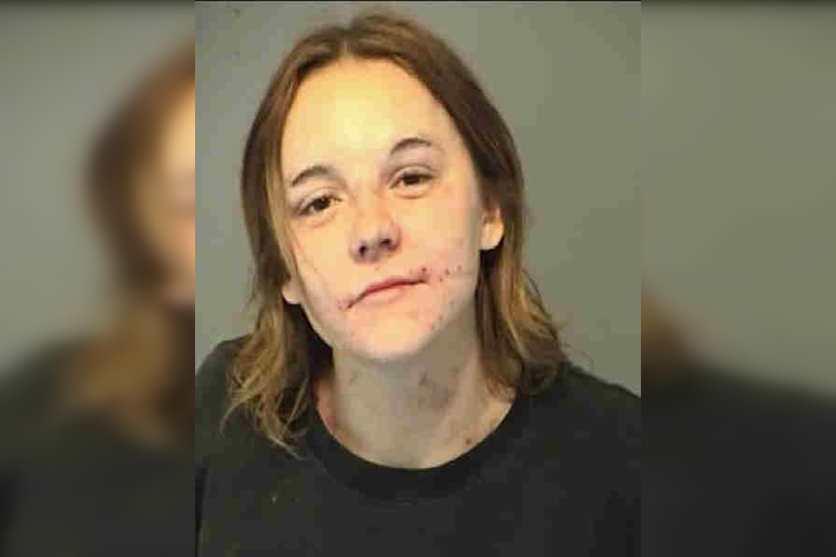 Renewed Search Efforts for Janie Marie Sellers in Bellevue, Illinois