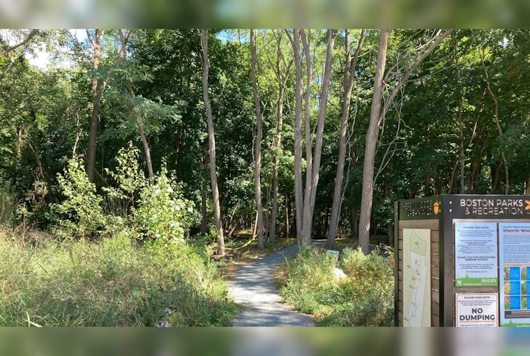 Boston's Urban Wilds Program Soars as New Member of Forests in Cities