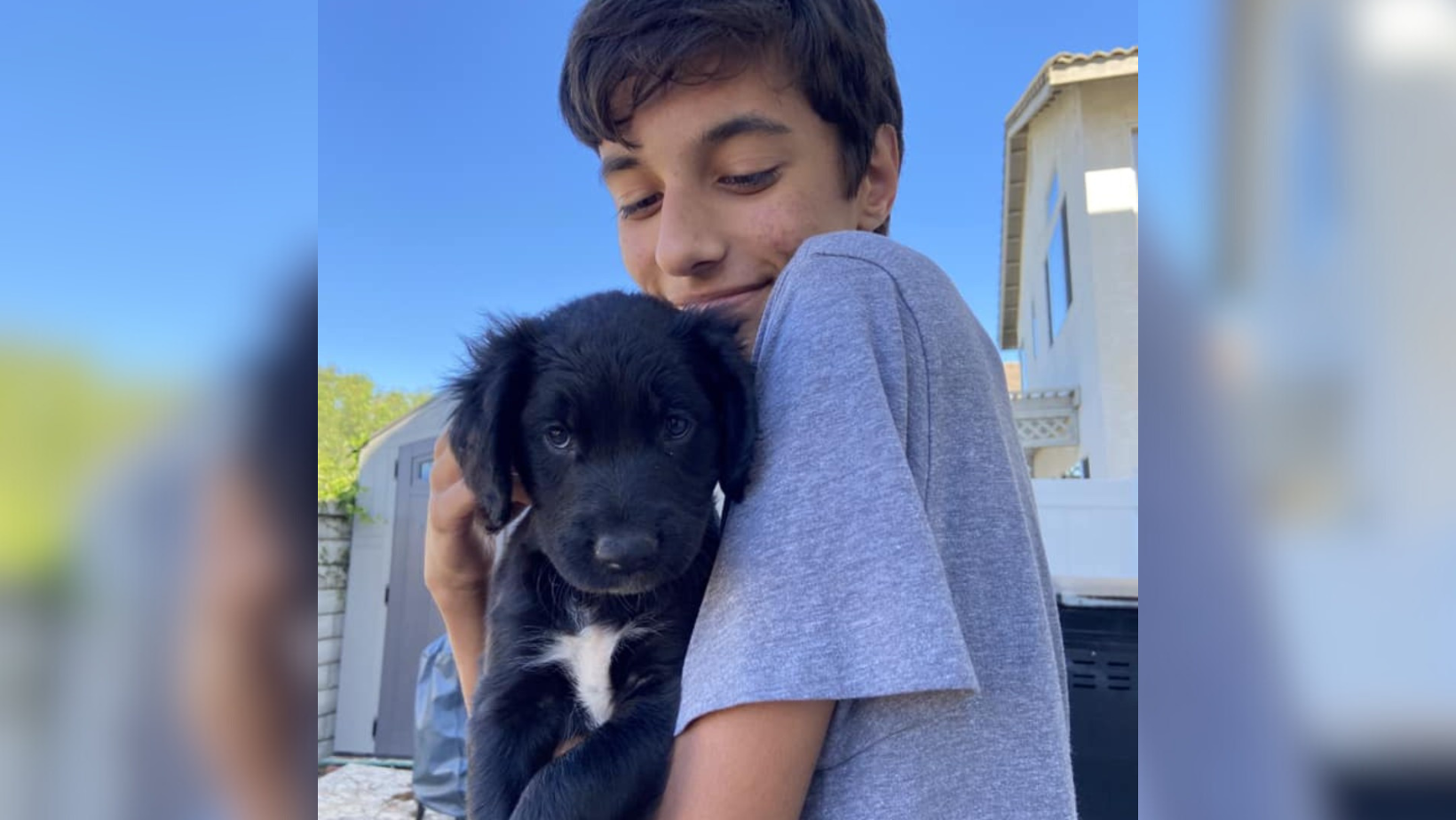 San Diego Humane Society Waives Adoption Fees Amid Record Dog