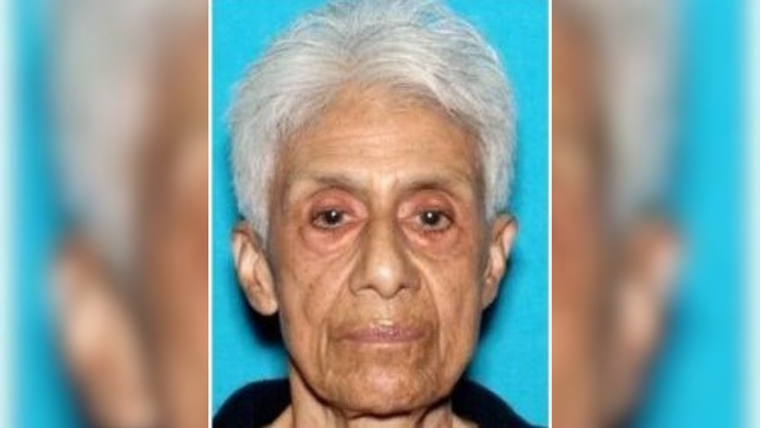 UPDATE: Frantic Search for Missing 81-Year-Old Geyserville Woman