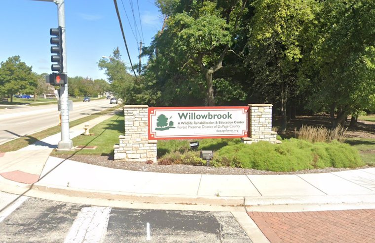 Willowbrook Wildlife Center Secures $4,000 Grant from Illinois'