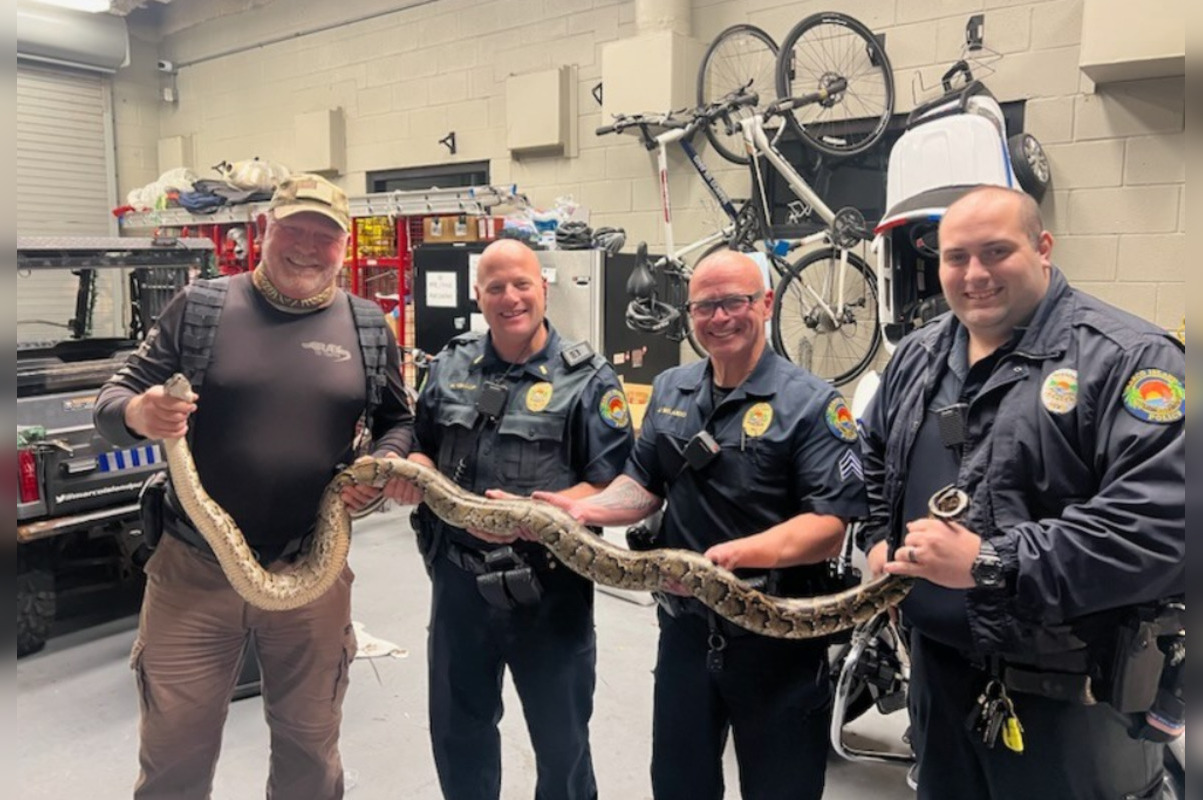 9-Foot Burmese Python, Ejected from Marco Island Resort Using Golf