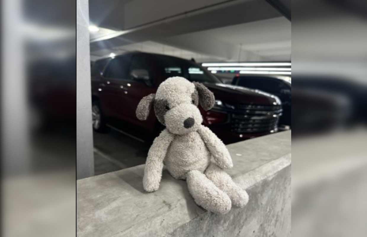 Austin Airport Reunites Toddler with Misplaced Toy Just in Time for