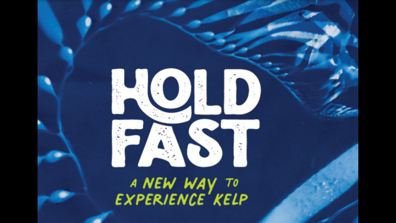 Birch Aquarium's New Exhibit Merges Art with Ocean Activism in La