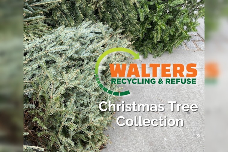 Blaine Residents Offered Convenient Curbside Christmas Tree Collection