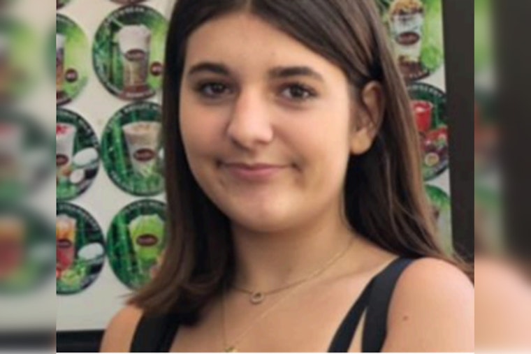 Chicago Police Search for Missing 15-Year-Old Amina Dzananovic,