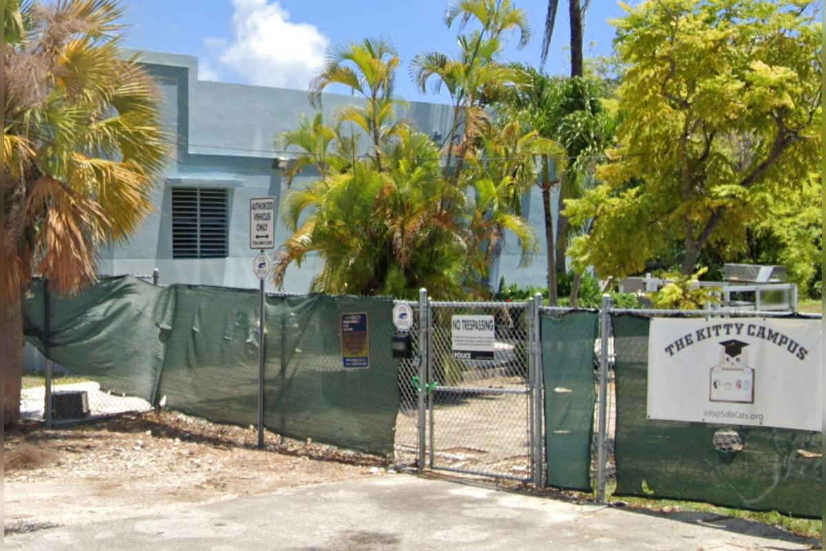 Miami Beach Community Horrified by Series of Feline Deaths, Police