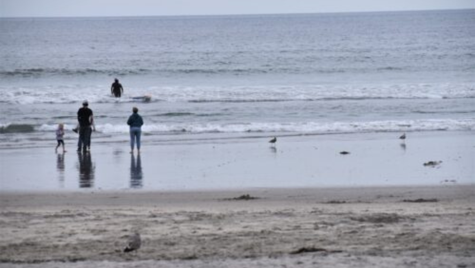 Oceanside's RE:BEACH Initiative Showcases Global Talent in Quest for