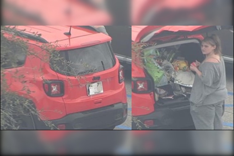 Police Seek Public’s Aid to Track Down Suspected Target Thief