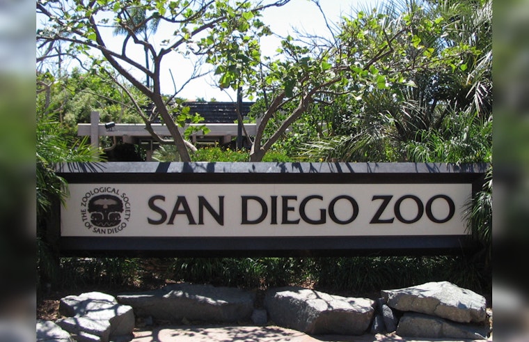 San Diego's Frozen Zoo Chills With 11 Thousand Species
