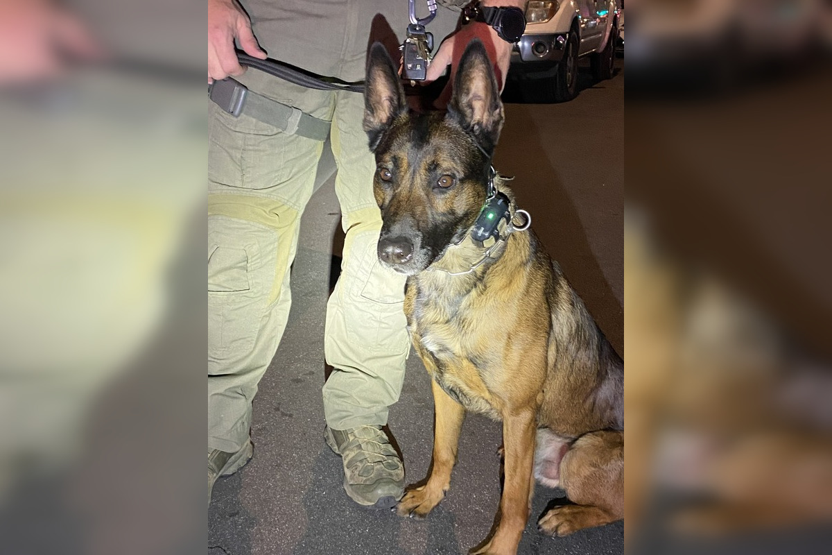 SWAT Team and Heroic Canine Secure Armed Suspect in East Los Angeles,