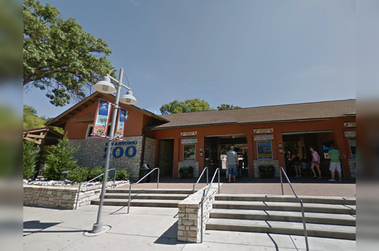 Zoo Unveils Overnight Giraffe Lodge and Massive Savanna Expansion