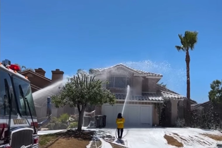 100,000 'Angry' Bees Hospitalize Firefighter & Murrieta Homeowner Who