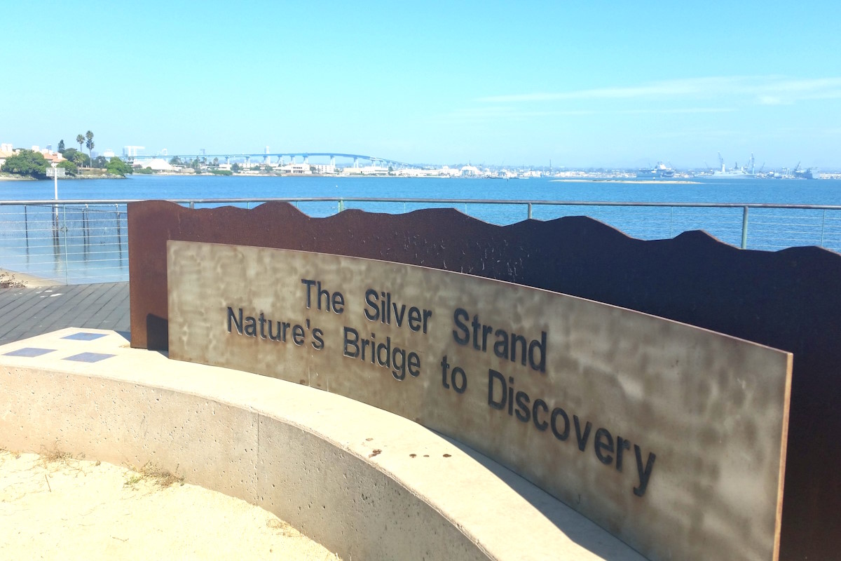 Motorcyclist Dies After Fleeing Police In High Speed Chase Ends In