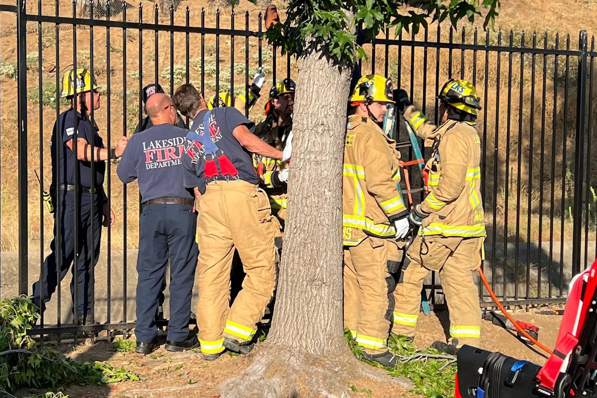 Impaled San Diego Tree Trimmer Falls on Fence Spike in El Cajon;