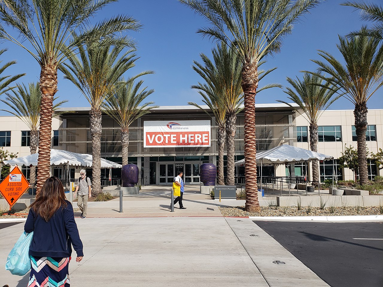 Last Chance for San Diego District 4 Supervisor's Race as It Draws to