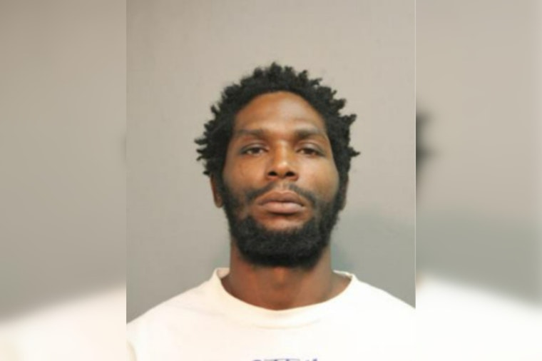 Chicago Serial Batterer Apprehended and Charged with Multiple Felonies