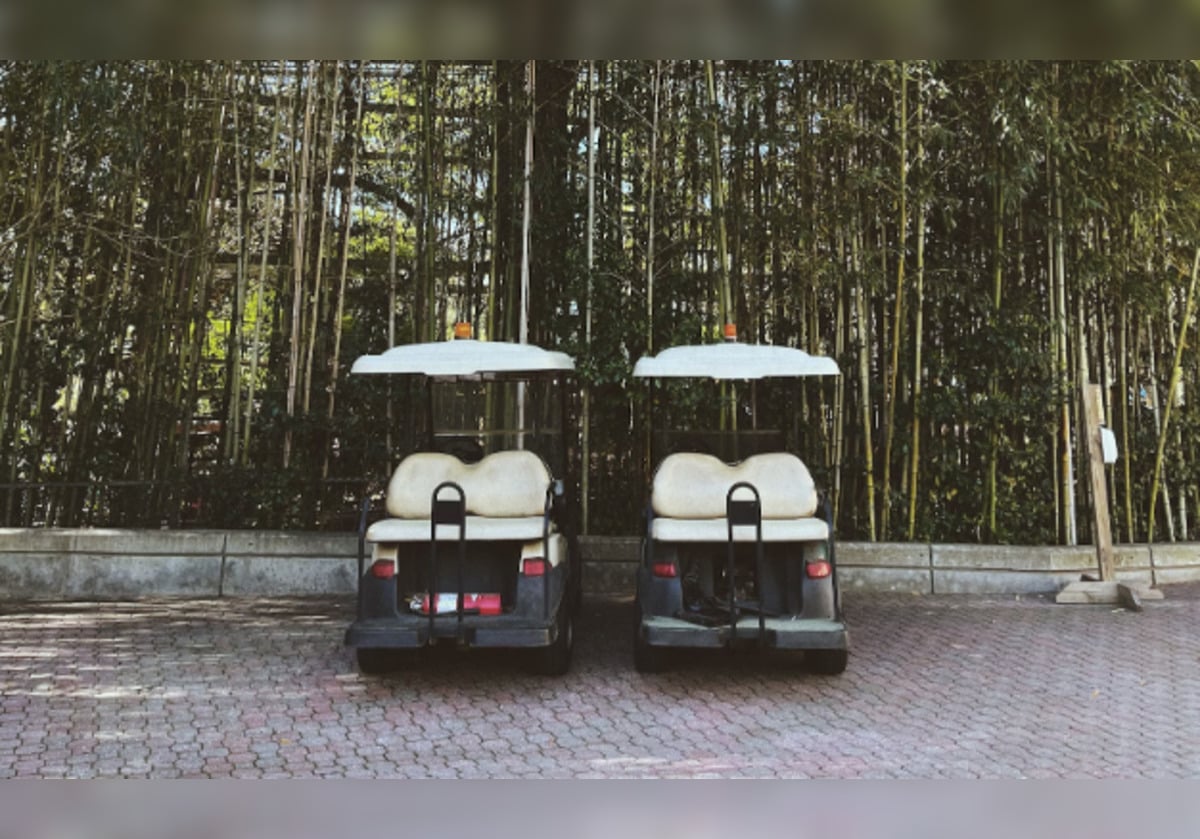 Erratic Shirtless Man Leads Los Angeles PD on Bizarre Golf Cart Chase
