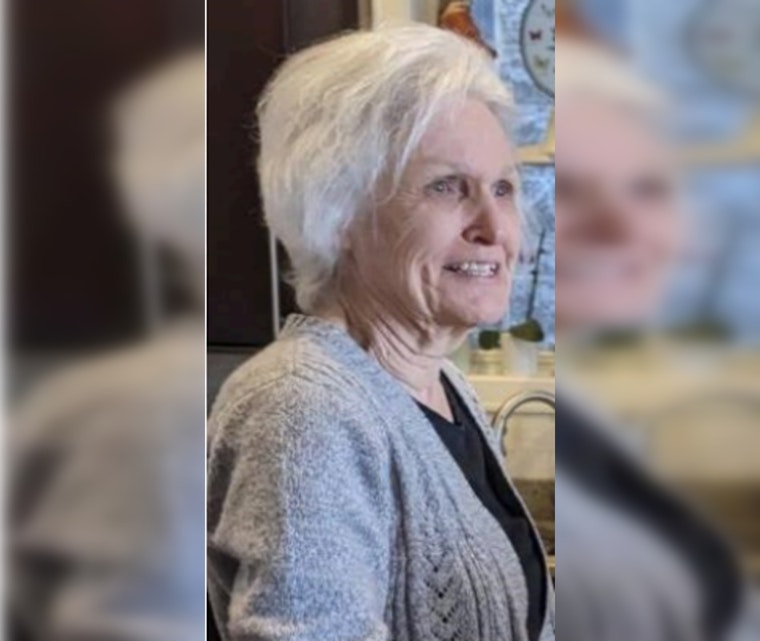 Search for Missing Elderly Chicago Woman Carmine Goddijn