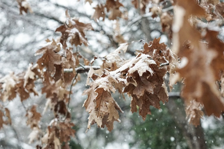 Amarillo and Texas Panhandle Prepare for Snow with Anticipated