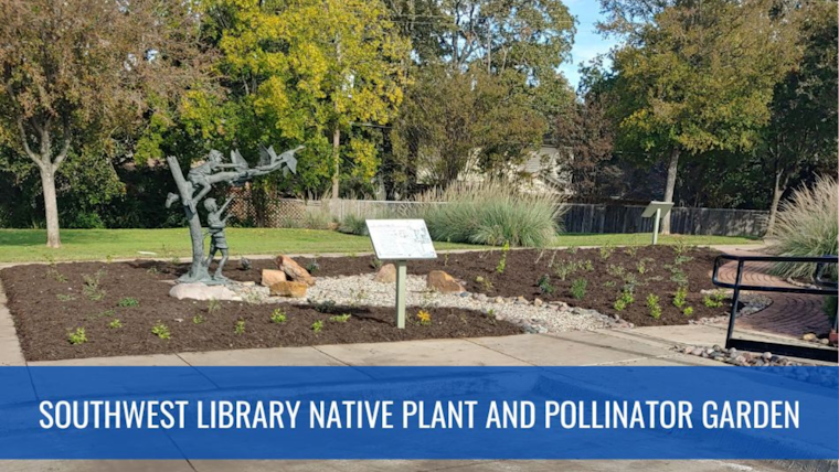 Arlington Unveils New Native Plant and Pollinator Garden Initiative at