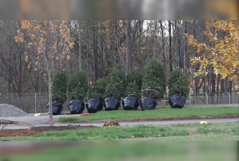 Atlanta Unveils Green Initiative with Planting of 200 Trees at Police