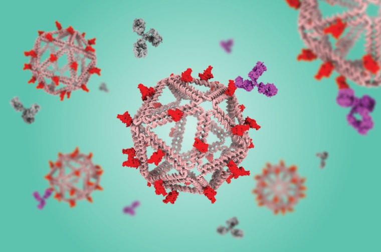 Bio-Tech Breakthrough, MIT Minds Craft DNA Shields Against Viruses,