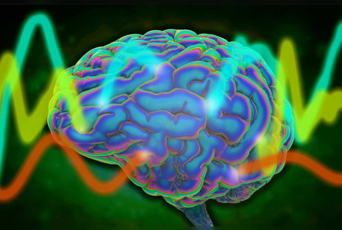 Brain Wave Breakthrough, MIT and Vanderbilt Scientists Unlock