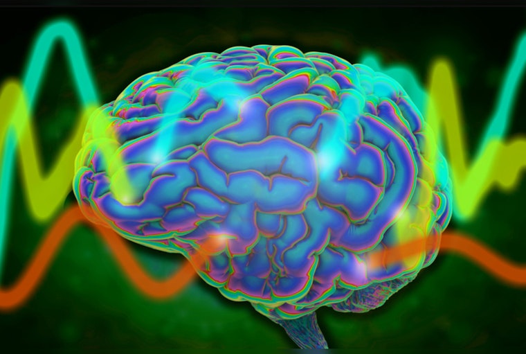 Brain Wave Breakthrough, MIT and Vanderbilt Scientists Unlock