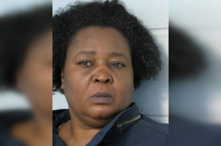 Chicago Police Seek Help in Search for Missing 59-Year-Old Debra