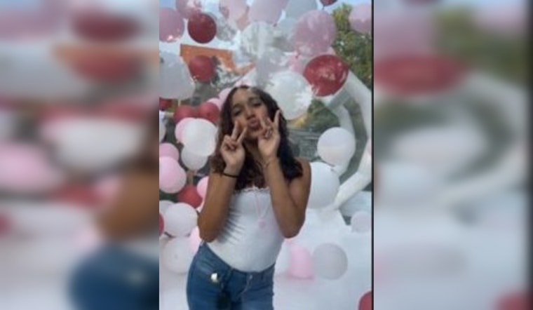 Chicago Police Seek Help To Find Missing Teenager Amid Intense Search