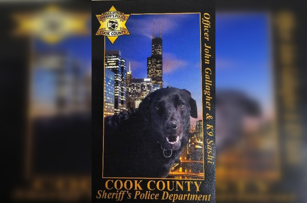 Cook County Police Department Honors the Legacy of Beloved K9 Sashi, A