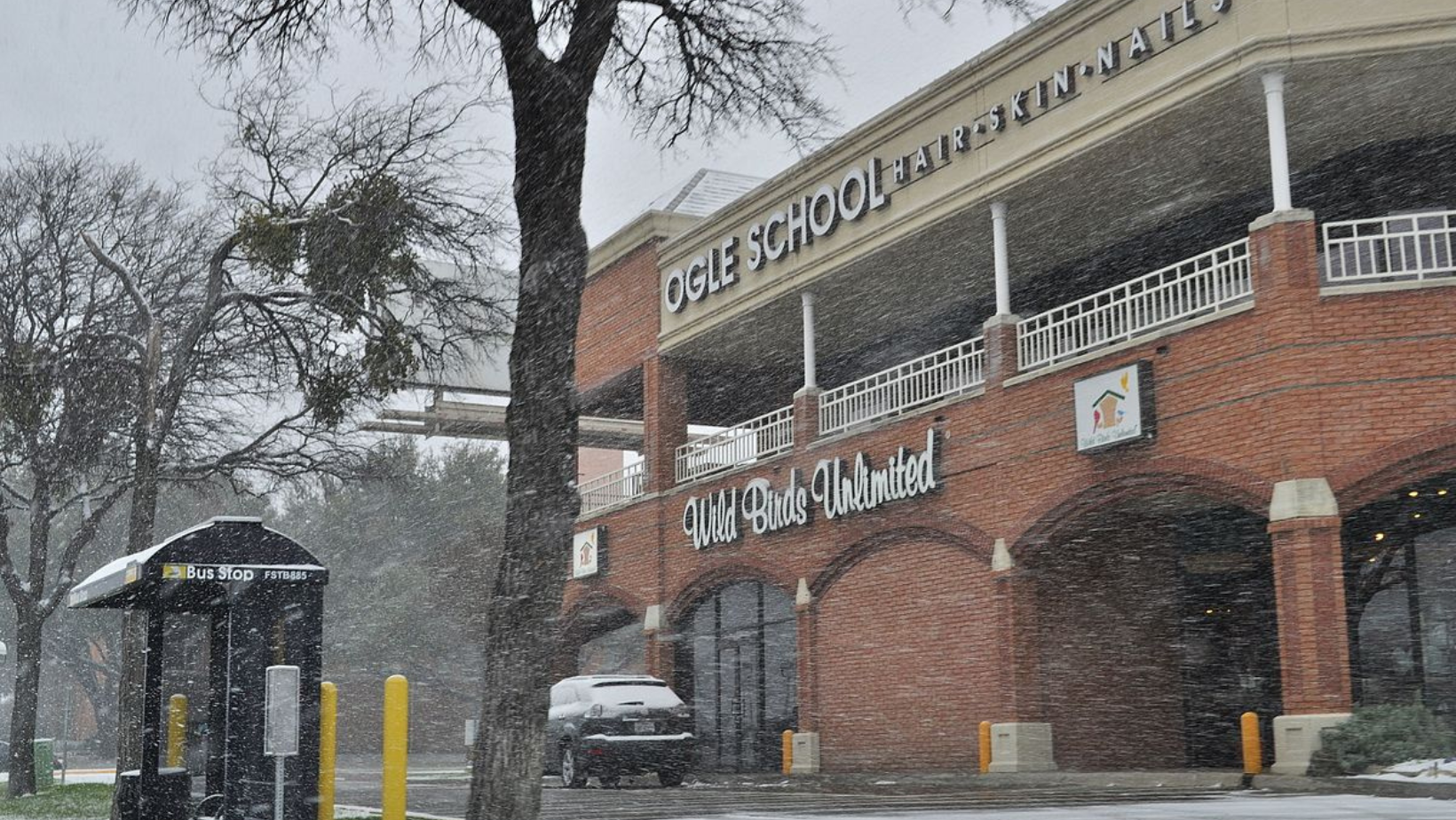 Dallas Anticipates Frosty Martin Luther King Day with Snow Flurries