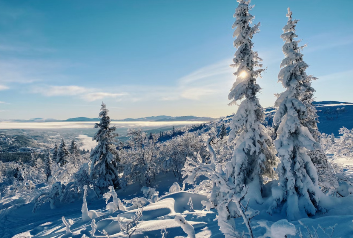 Dallas Chilled to the Bone with Frigid Temperatures and Brisk Winds in