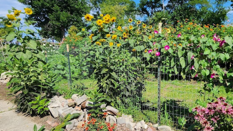 Detroit Unveils Generous Grants for Neighborhood Beautification,