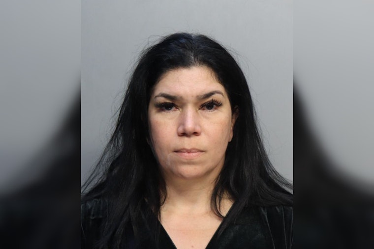 Former Miami-Dade School Board Member Lubby Navarro Charged with