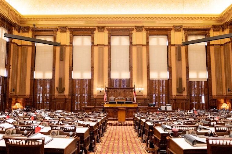 Georgia Representative Sandra Scott Advocates for Gun Safety Reform