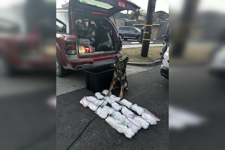 K9 Officer Keisa Sniffs Out 20 Pounds of Meth as LAPD Dismantles