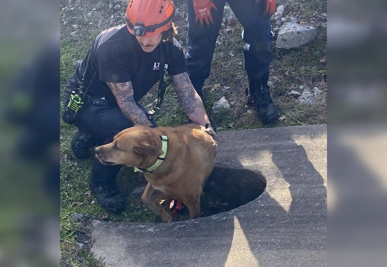 Lake Travis Fire Rescue Ingeniously Saves Senior Dog from Culvert in