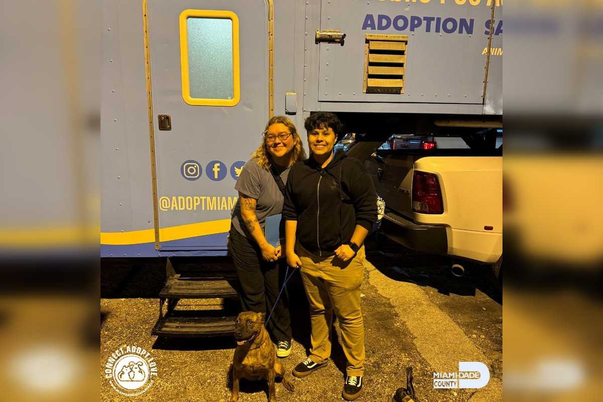 Miami-Dade County Animal Services Drives Canine Adoption Initiative to