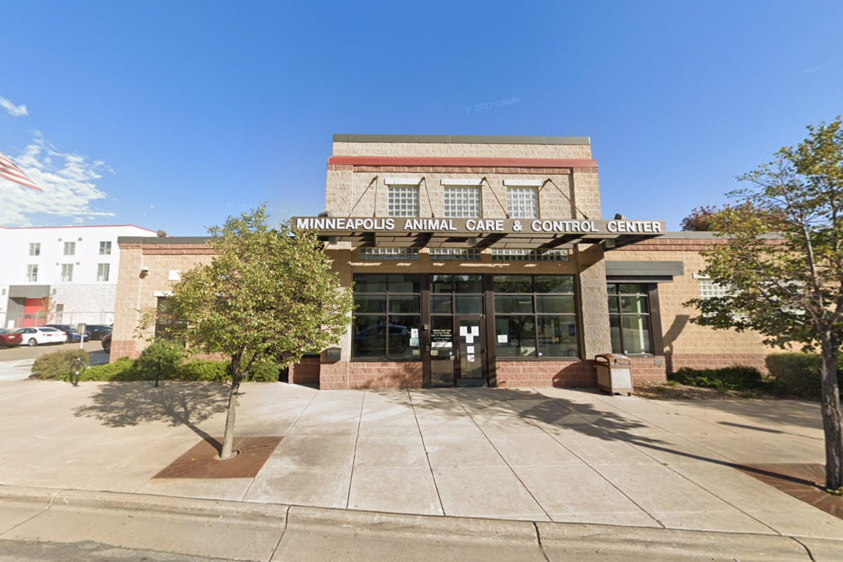 Minneapolis Animal Care & Control Cuts Adoption Fees Amid Shelter