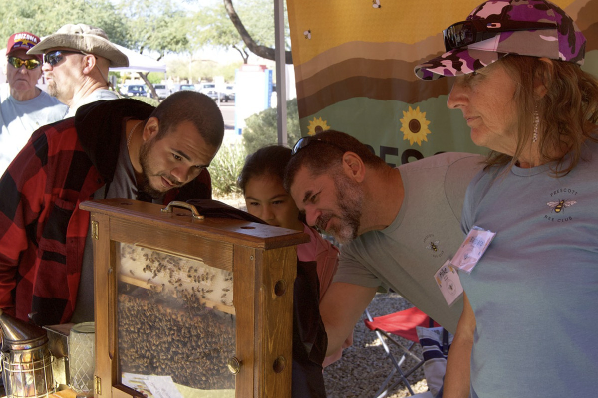 Phoenix Residents Abuzz with Home Gardening to Aid Bee Conservation