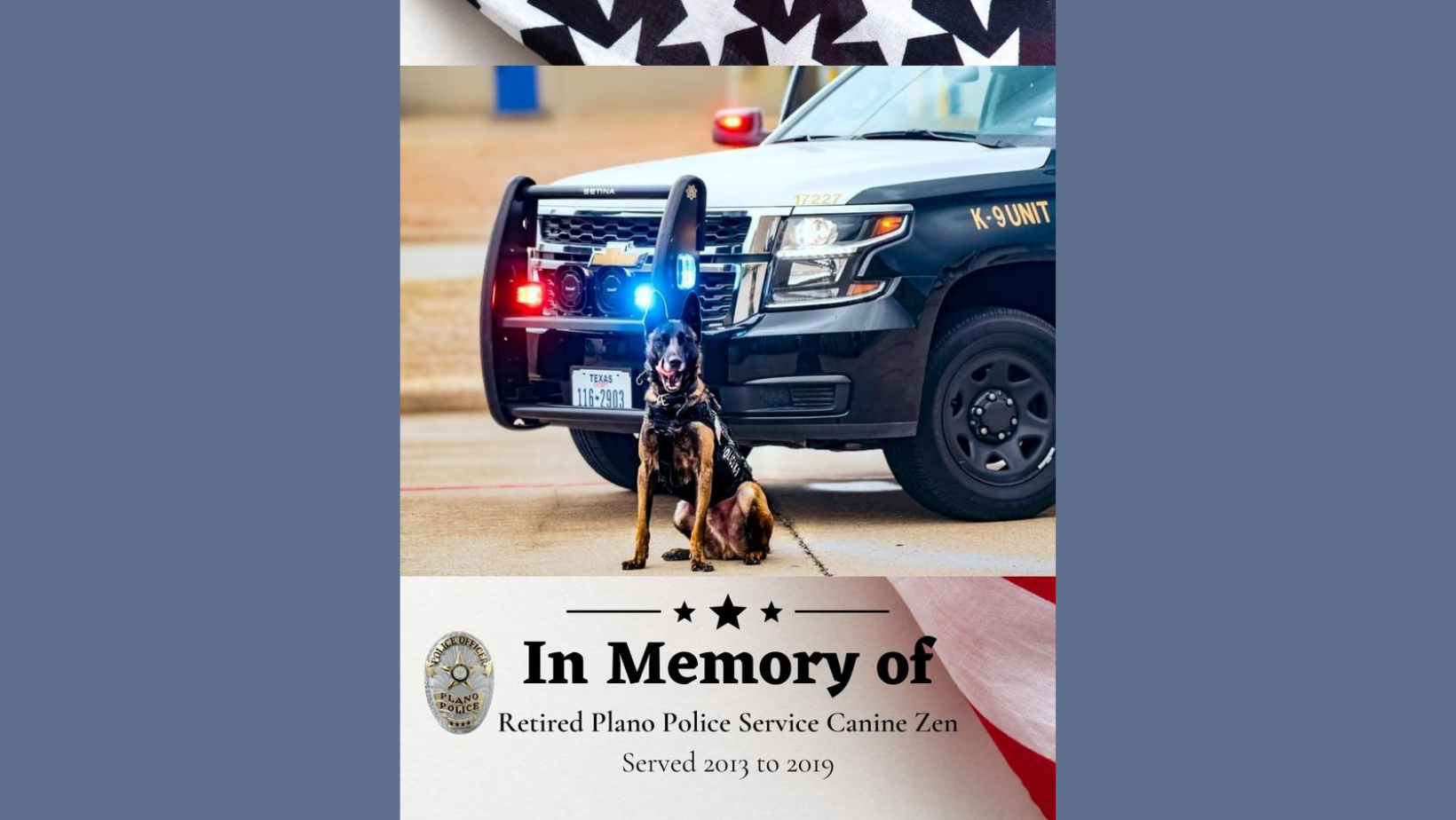 Plano Police Department Remembers Beloved Retired K-9 Hero Zen