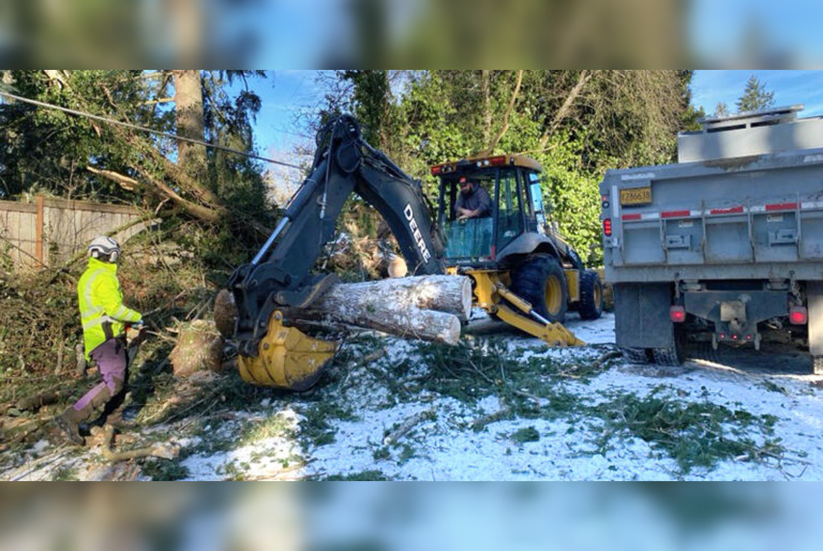 Portland Emerges from Intense Winter Storm, Begins Recovery and Honors