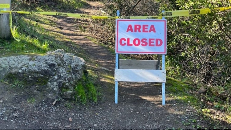 San Mateo County's Junipero Serra Park Announces Temporary Trail